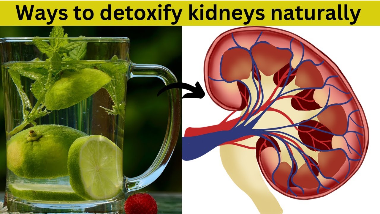 How to detoxify kidneys naturally | Ways to take care of kidneys | FIT ...