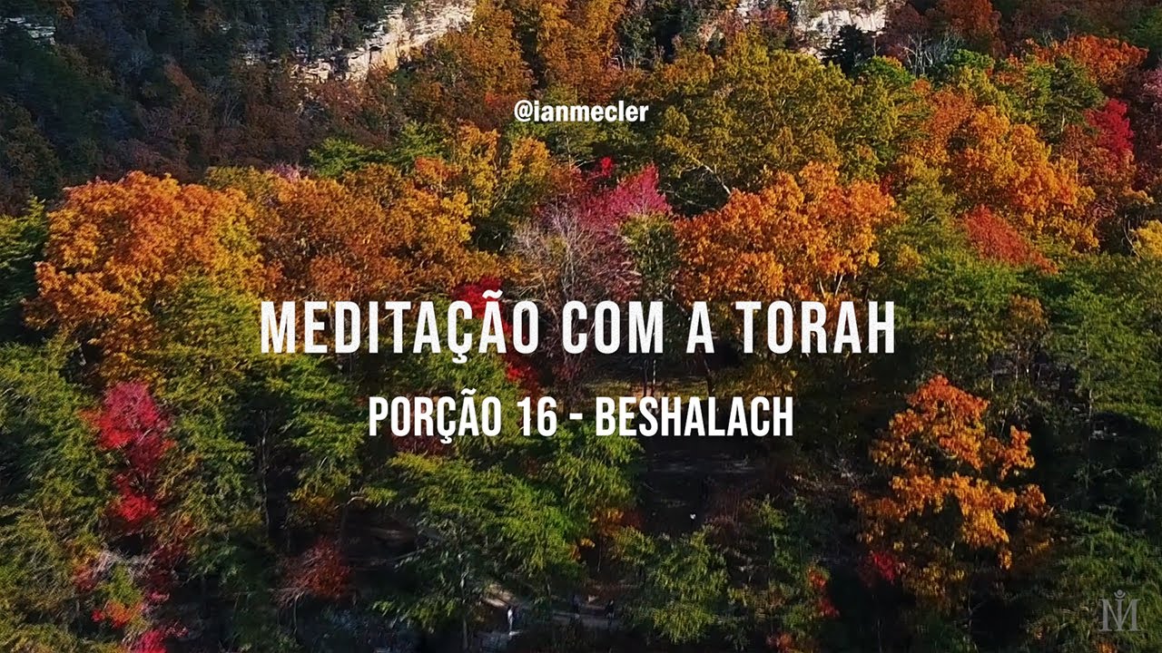 Porção 16 - Beshalach | Meditação com a Torah | Com Ian Mecler - YouTube