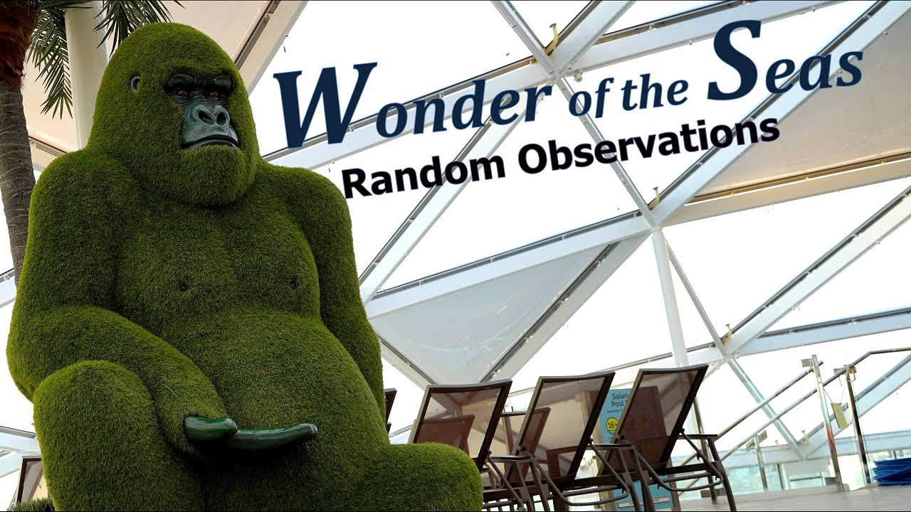 Wonder of the Seas Random Observations - YouTube