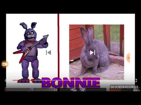 Quels animal tronic tu es ? - YouTube