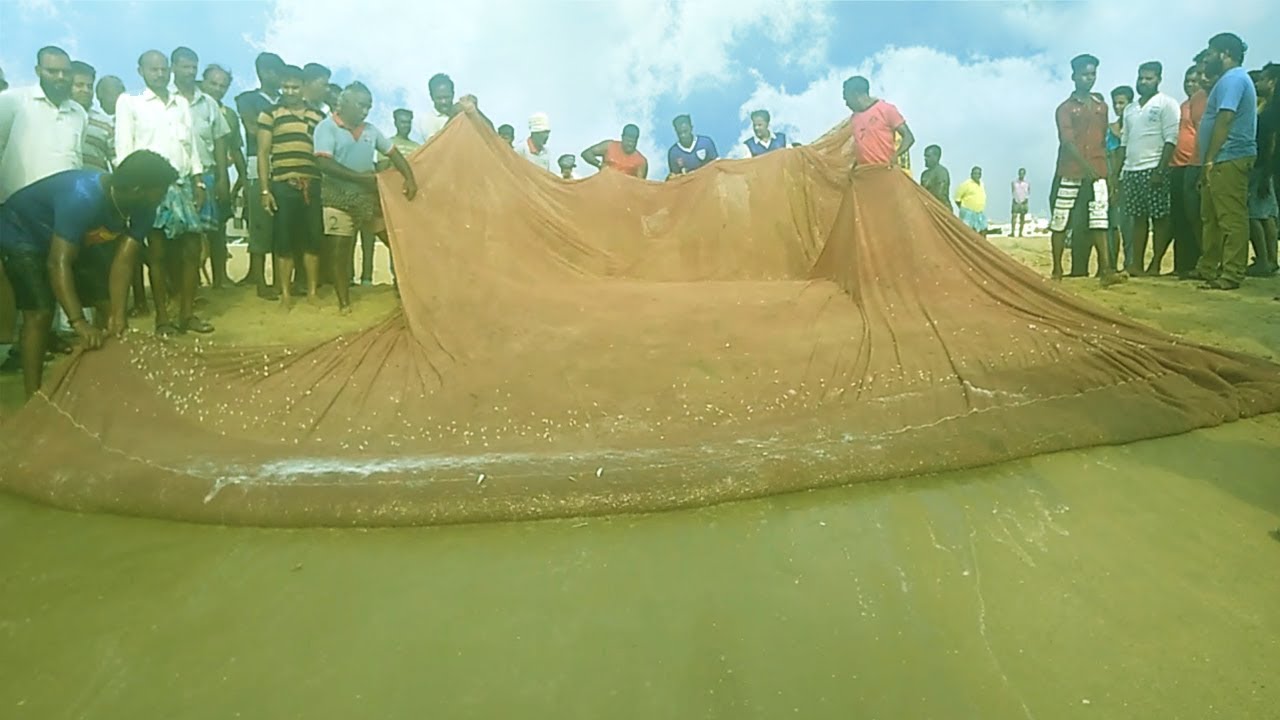 DRAG NET TO TRAP THE SEASHORE FISHES - DRAG NET FISHING | THE FISHERMAN ...