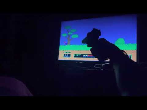 (NES) Kill Screen in Duck Hunt - “Round 0”
