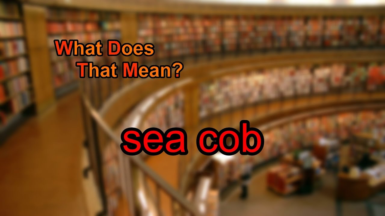 What does sea cob mean? - YouTube