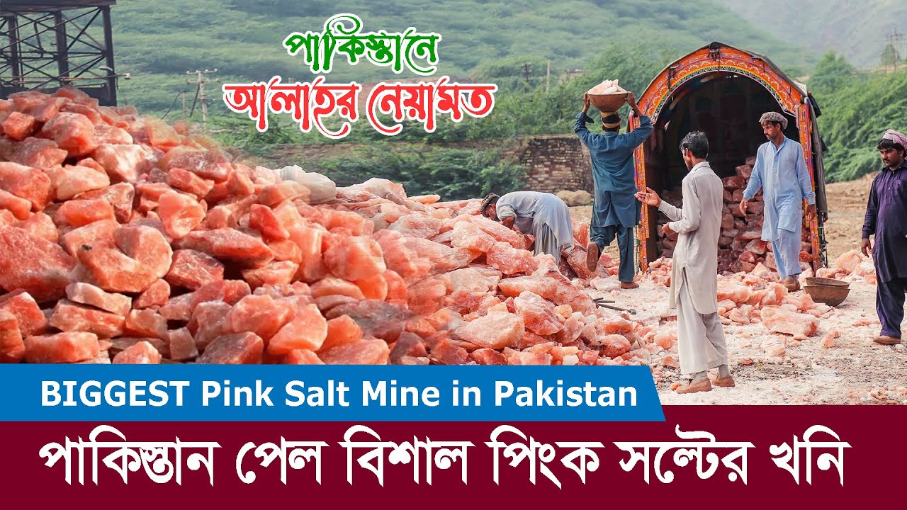 পাকিস্তানে আল্লাহর নেয়ামত পিংক সল্ট !! বিশ্বের সবচেয়ে দামি লবণ খনির ...