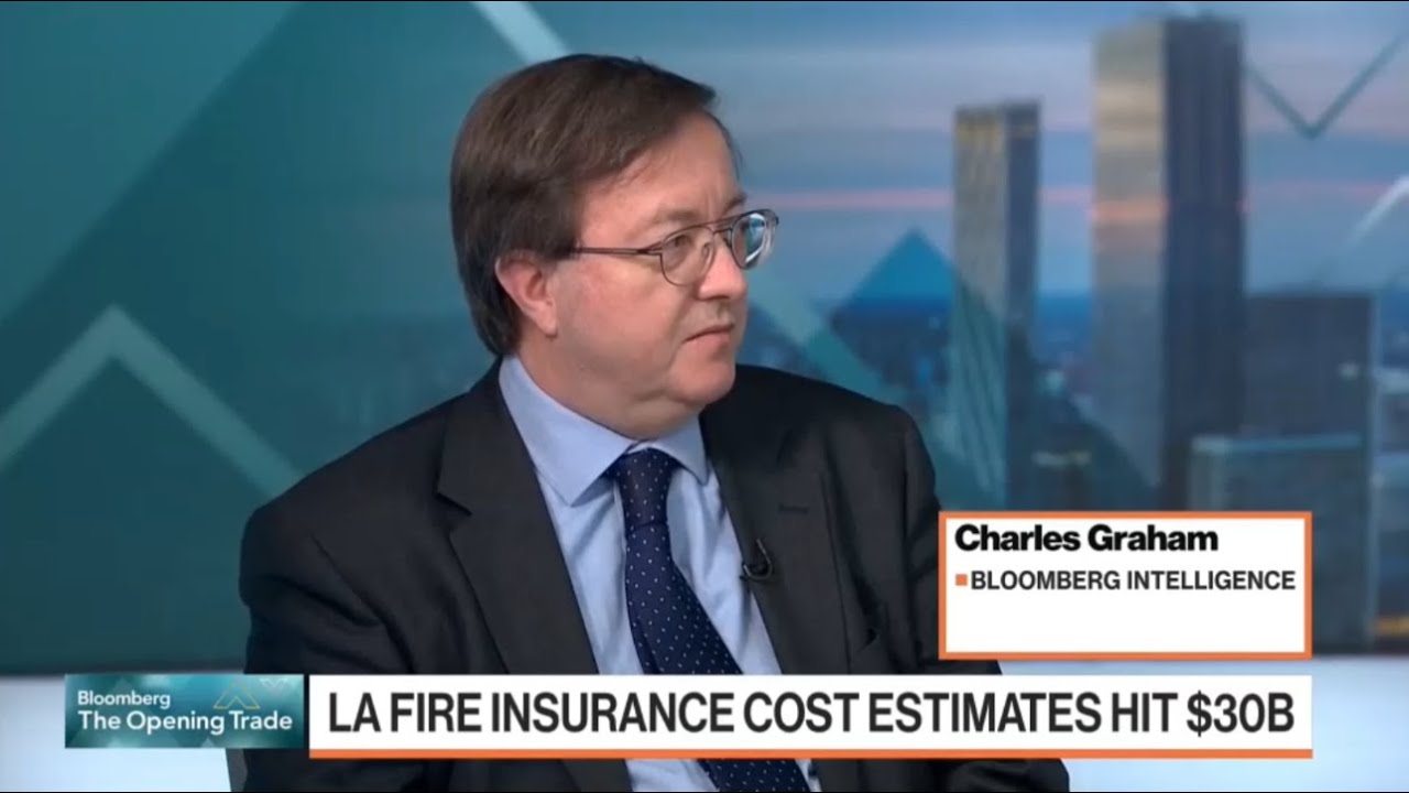 LA Fire Insurance Cost Estimates Hit $30 Billion (Jan. 14, 2025) - YouTube
