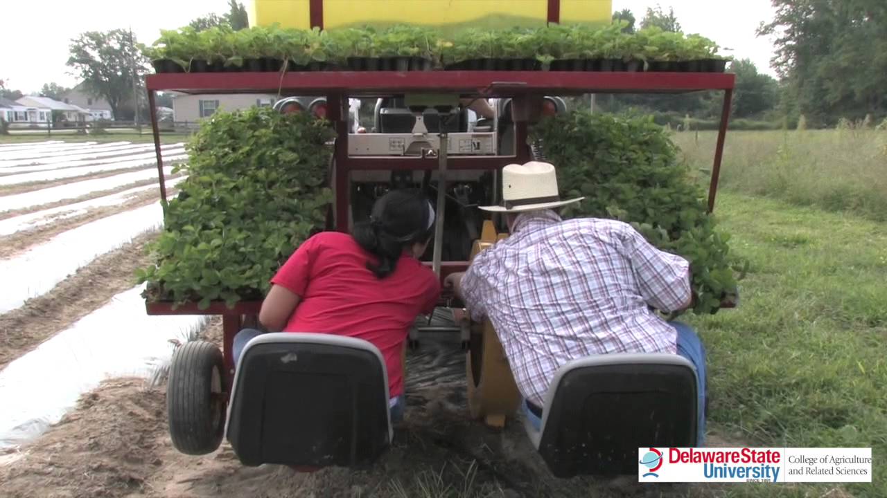 Water Wheel Planter - YouTube