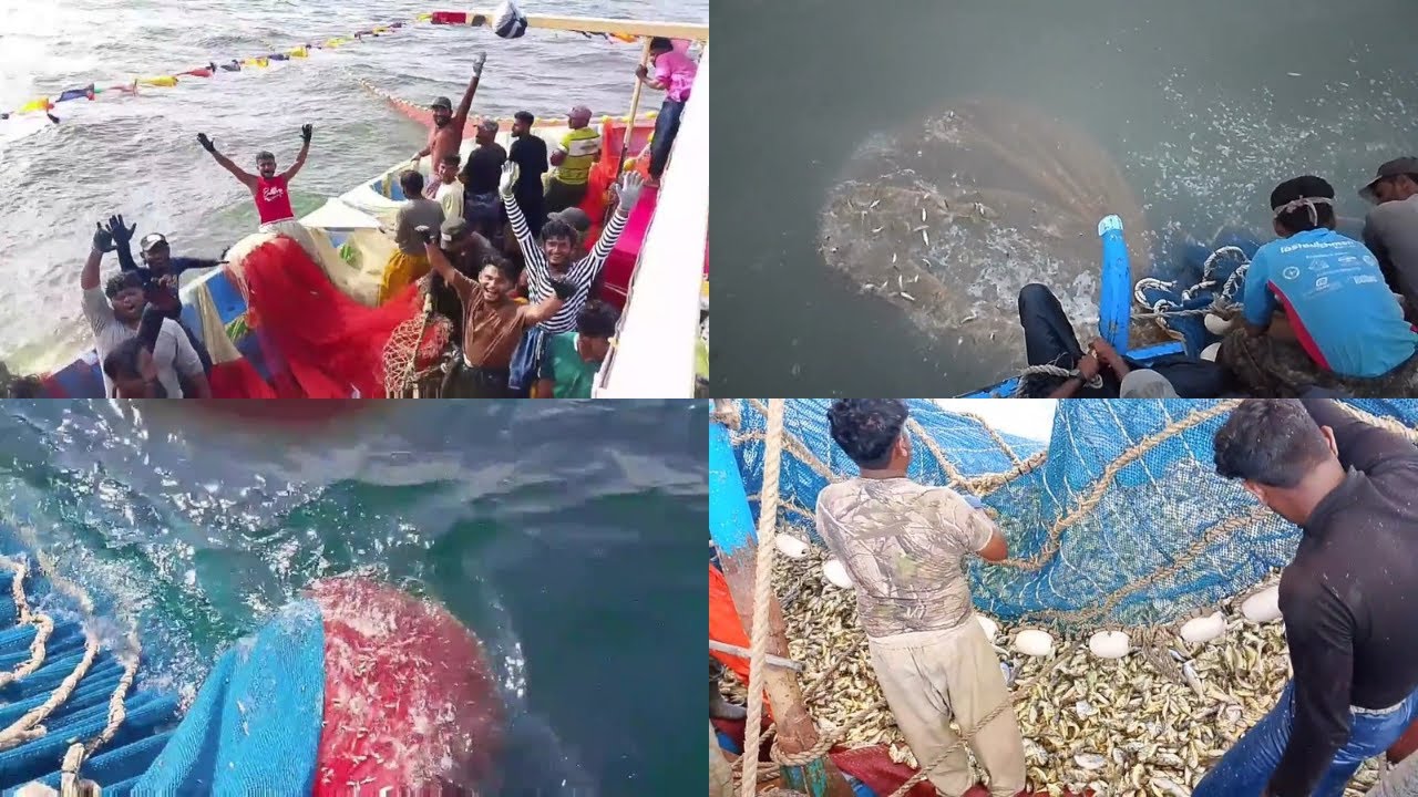 Fishermen Fishs Full Fishing Boat #fish #fishing - YouTube