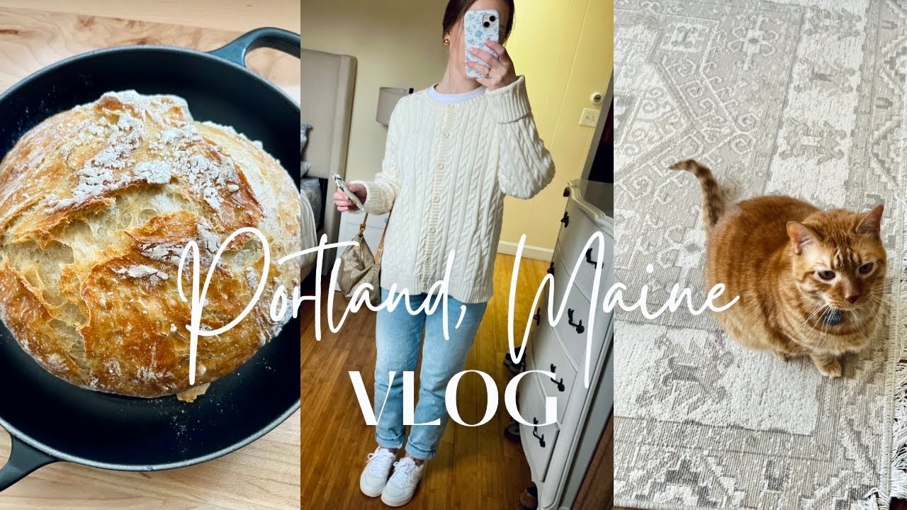 DIML in Portland, Maine|TJ Maxx & Homegoods Haul, Grocery Haul, Current ...