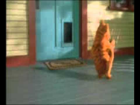 (R)Meyxana garrifeld.3gp