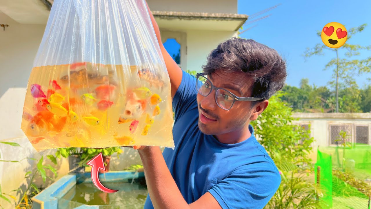 News Fish Laya Hu 😍 Aquarium and Fountain Ke Liye 🥰 - YouTube