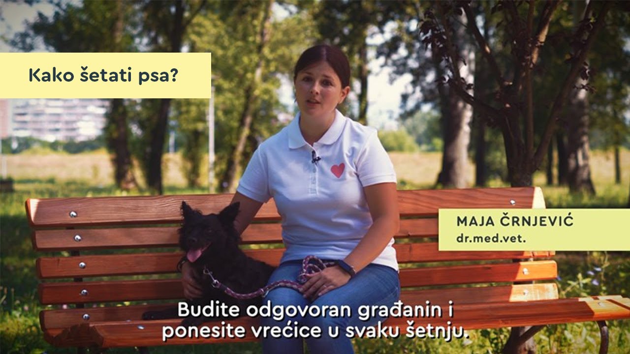Kako šetati psa? Donosimo ti osnovna pravila šetnje! - YouTube
