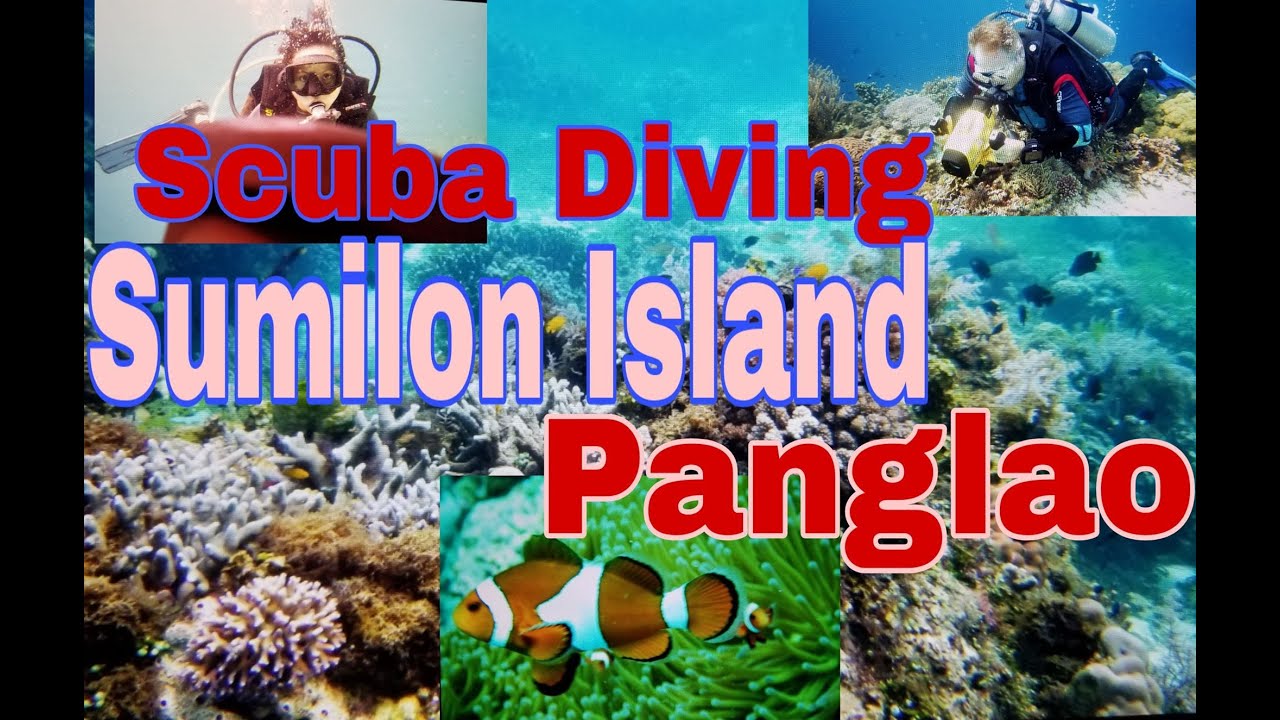 Scuba Diving in Sumilon Island| Panglao Bohol| Wanders of the sea| Underwater| Explore the Ocean ...
