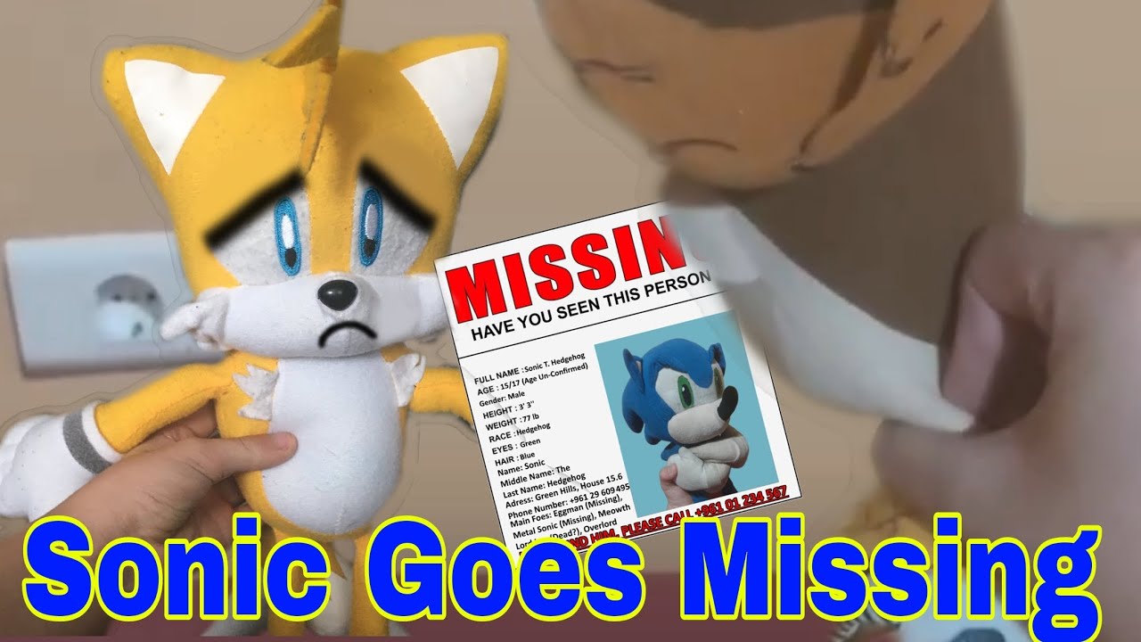 Plush Video: Sonic Goes Missing - YouTube