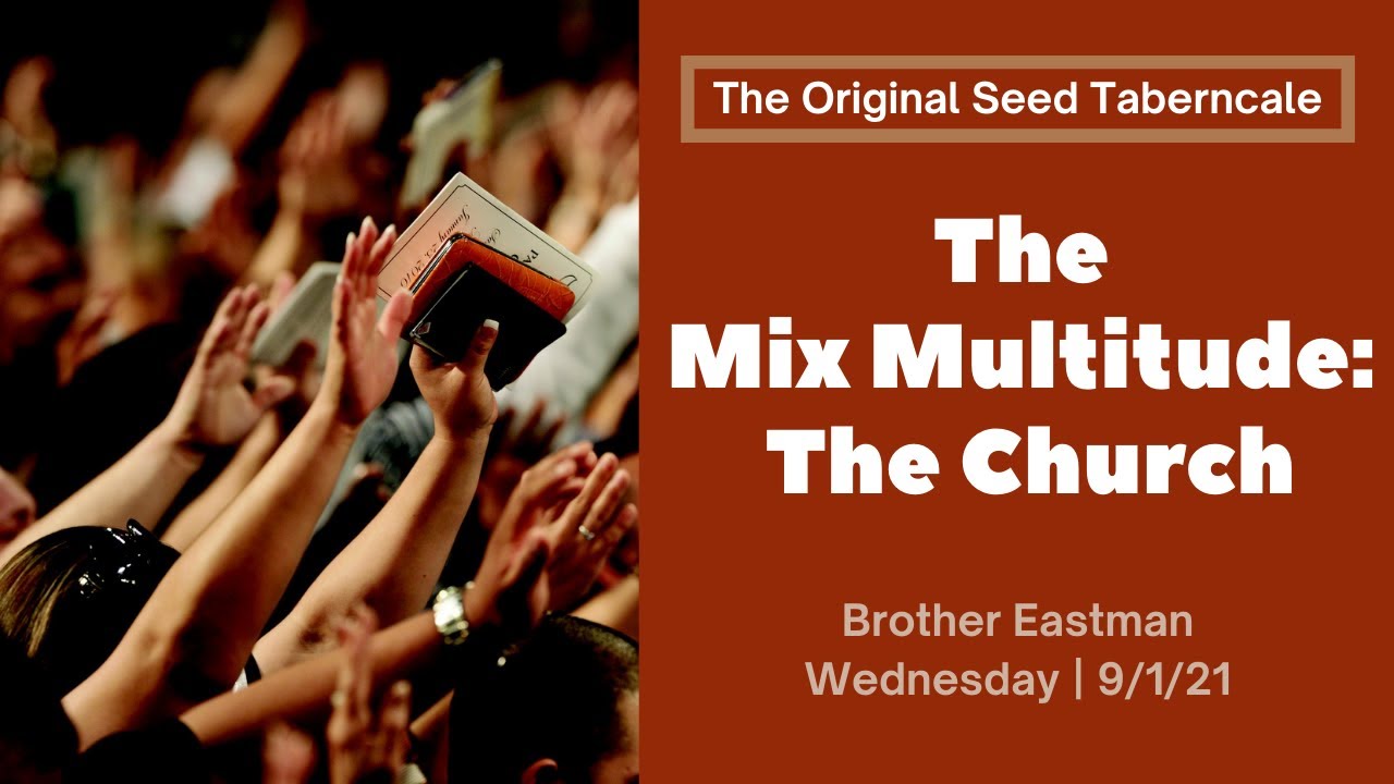 A Mixed Multitude: The Church - YouTube