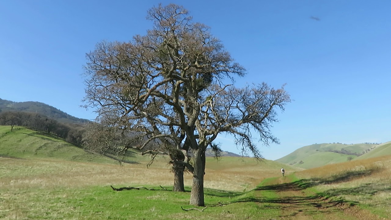 Rolling hills - Round Valley Regional Preserve - Brentwood, California ...