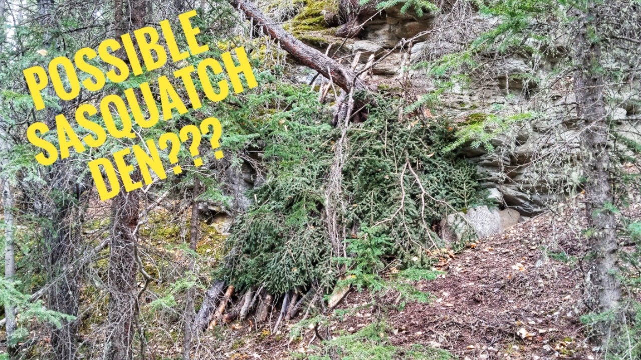 Sasquatch Den?? High Strangeness At The River! - YouTube