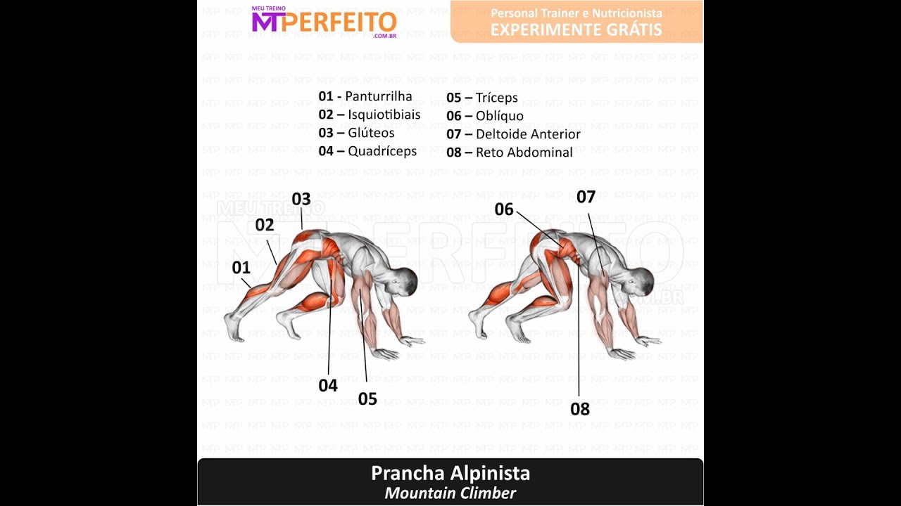 Prancha Alpinista - Músculos Trabalhados - YouTube