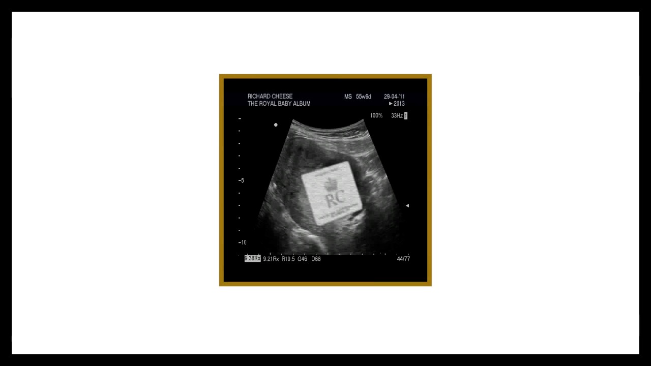 Richard Cheese "Under Pressure" (from 2013 "The Royal Baby Album ...