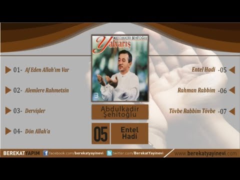 Abdülkadir Şehitoğlu - Entel Hadi