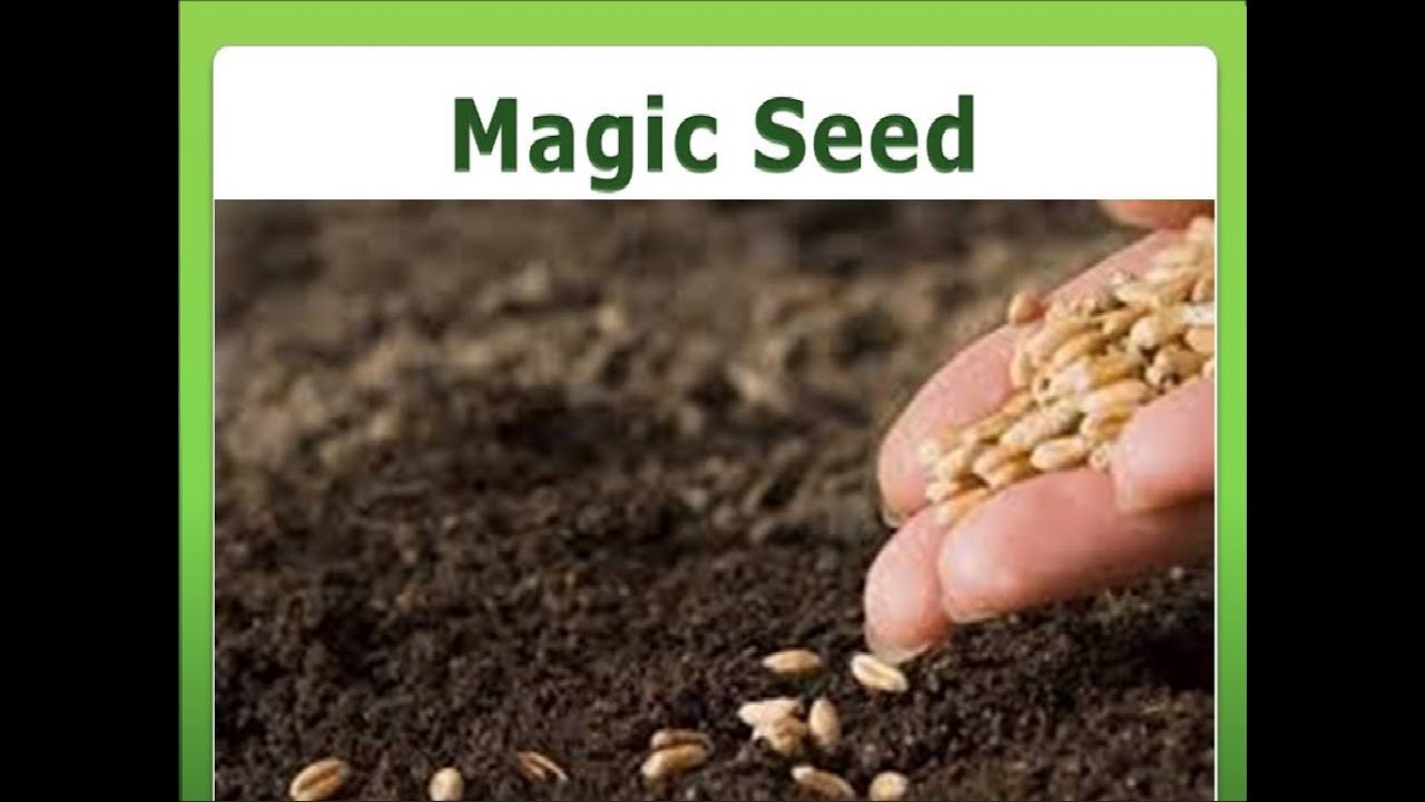 MAGIC SEED (read along ) - YouTube