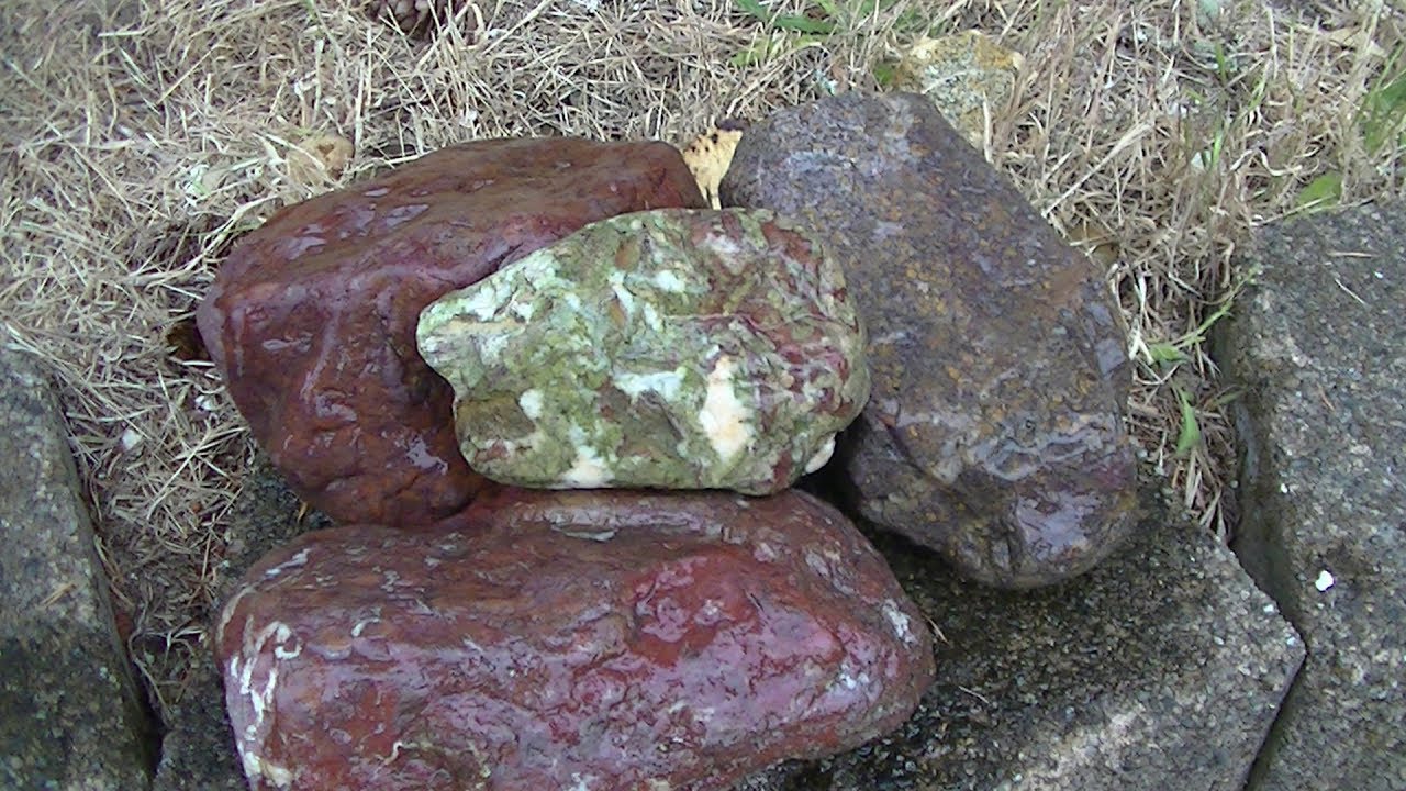 Rockhounding The Tahuya River with Marlaina Atkins - YouTube
