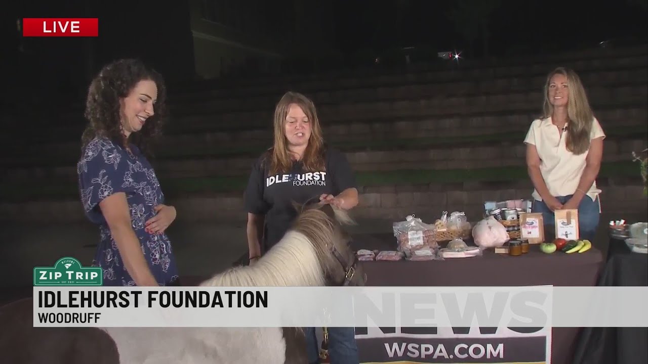 Zip Trip: Idlehurst Foundation - YouTube
