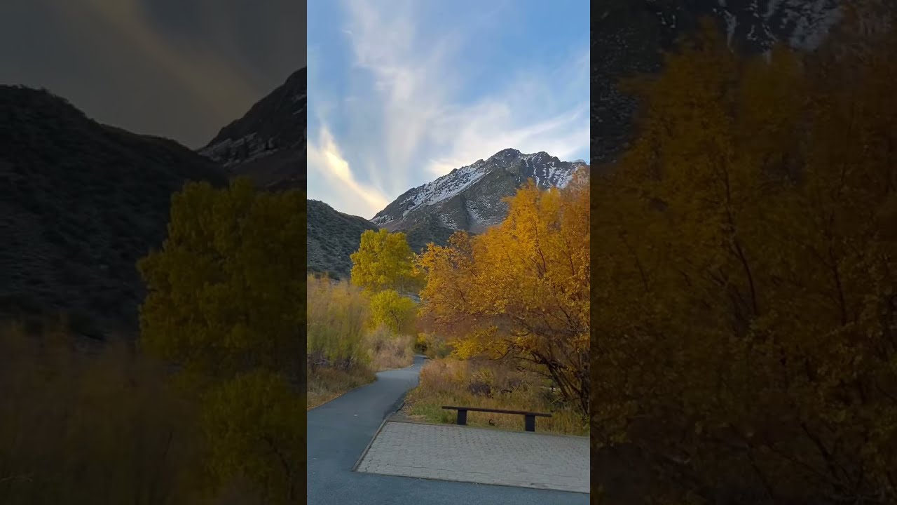 FALL | FOLIAGE 2021 | FALL IN SOUTHERN CALIFORNIA - YouTube