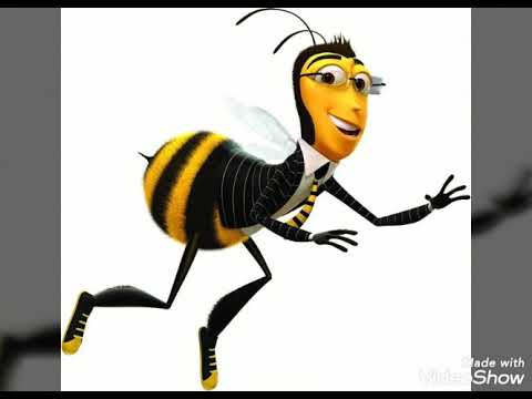 Bee Movie characters in real life - YouTube