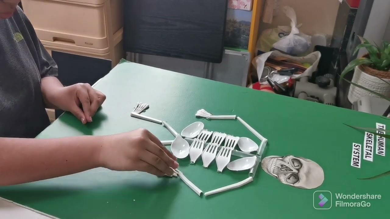 Science 6 Project The Human Skeletal System Using Recyclable Science 6 Project The Human Skeletal System Using Recyclable