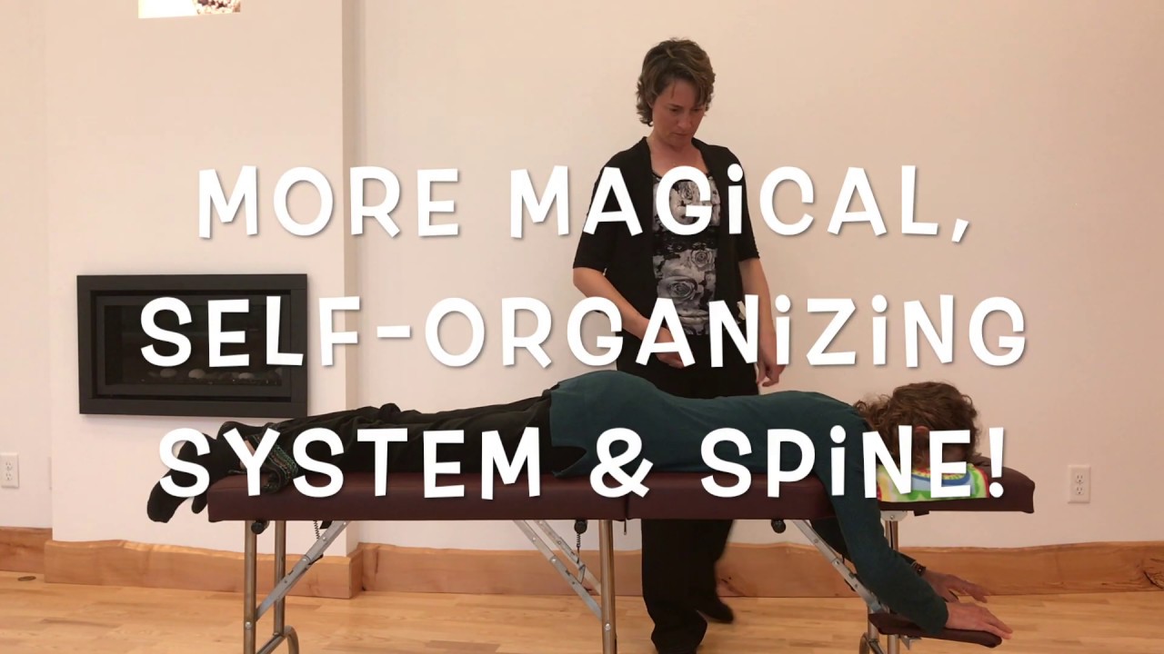 NetworkSpinal Demo - 2020 version - YouTube