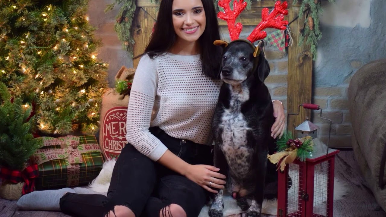 Christmas Mini Sessions 2019 - YouTube