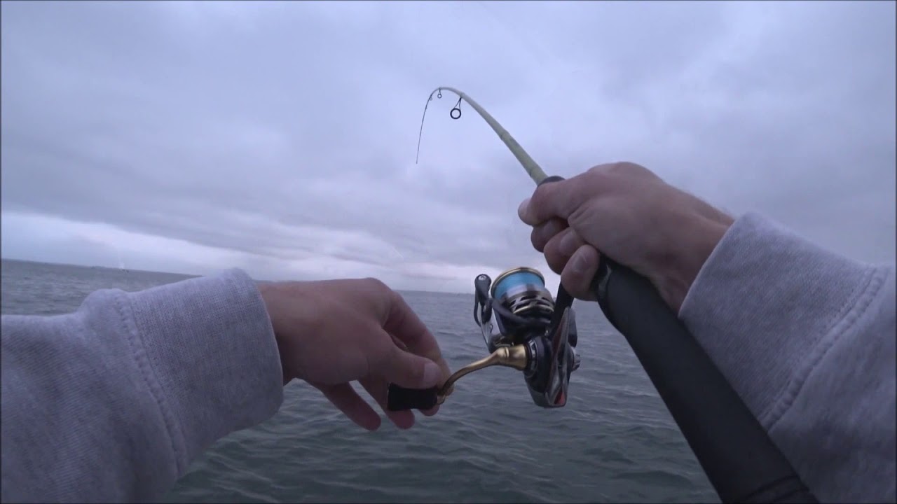 Big Snapper! on soft plastics! Port Phillip Bay. - YouTube