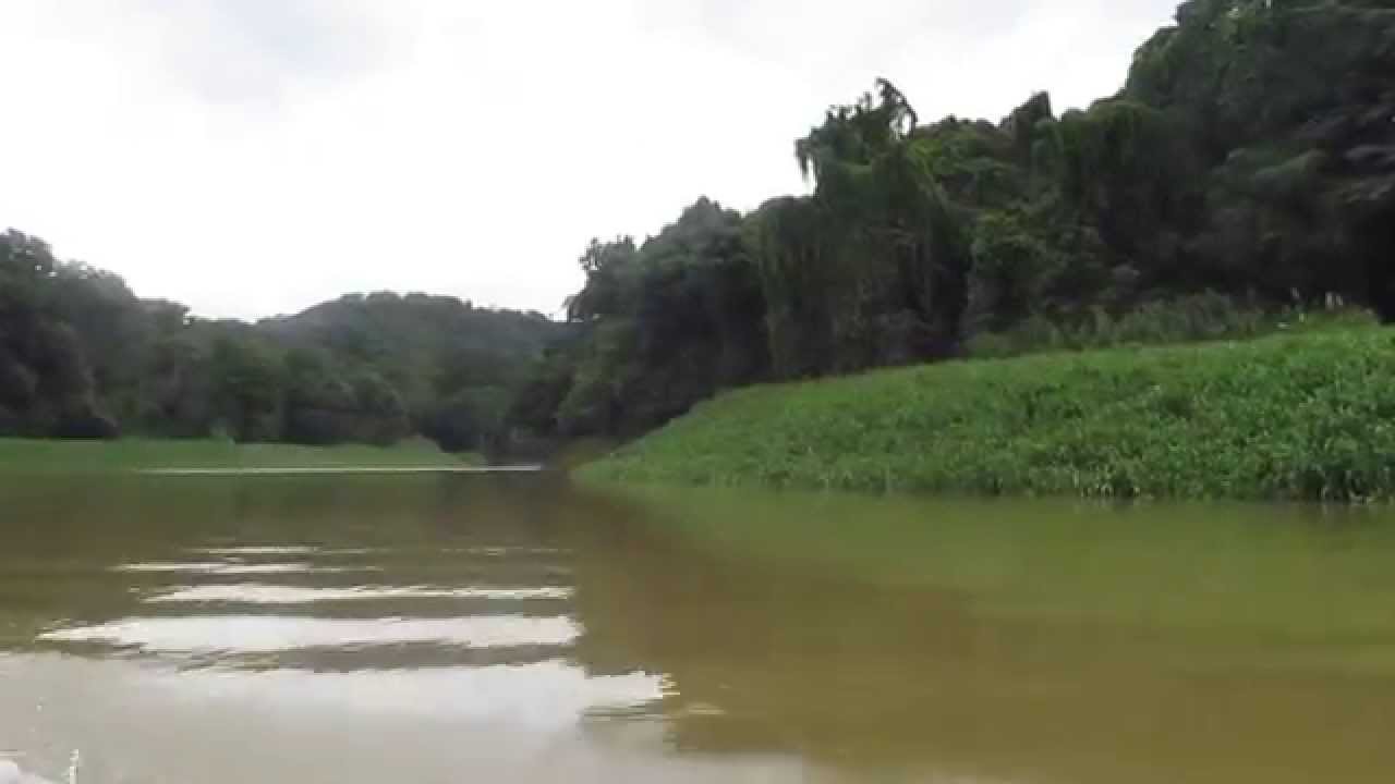 El Rio Chagres - YouTube