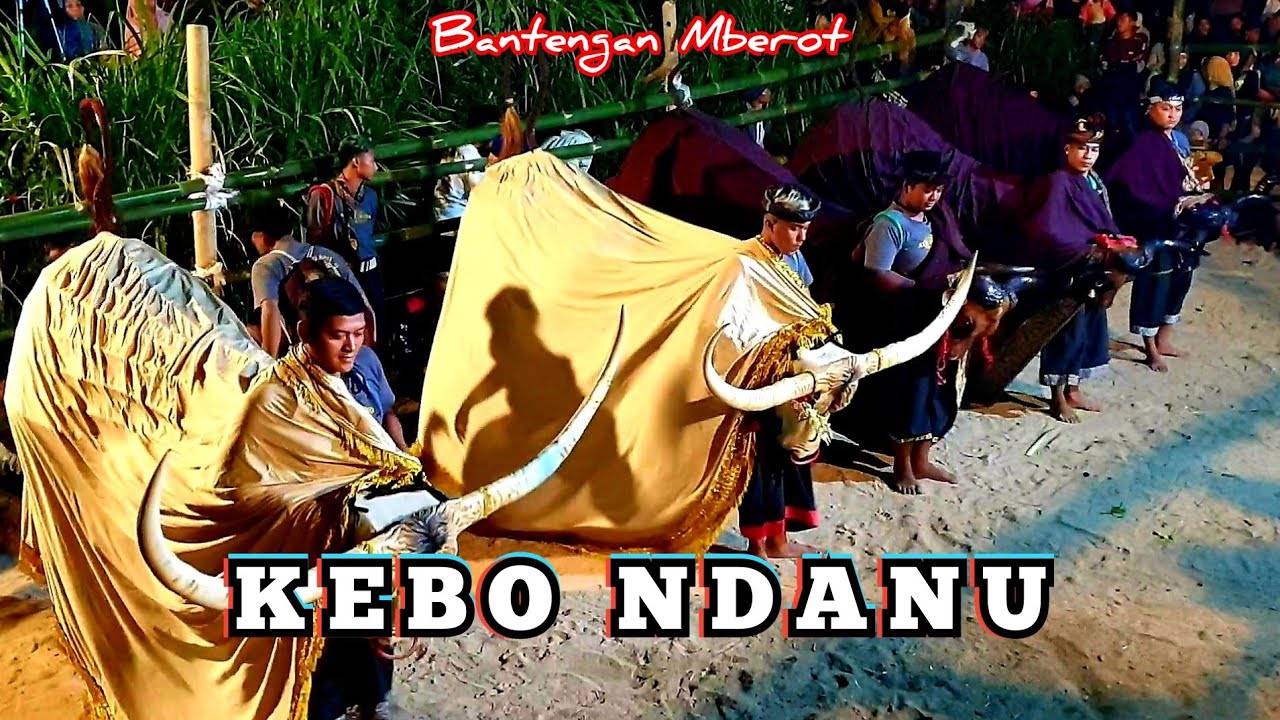 Angker.. Banteng KEBO NDANU Terbaru - Kalapan Full Srudukan Gaya Bebas ...