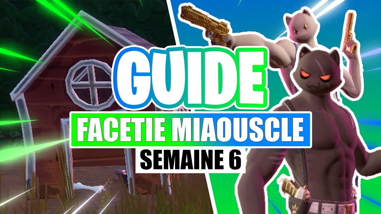 GUIDE COMPLET DES DÉFIS SEMAINE 6 MISSION FACÉTIE DE MIAOUSCLE N°2 ...