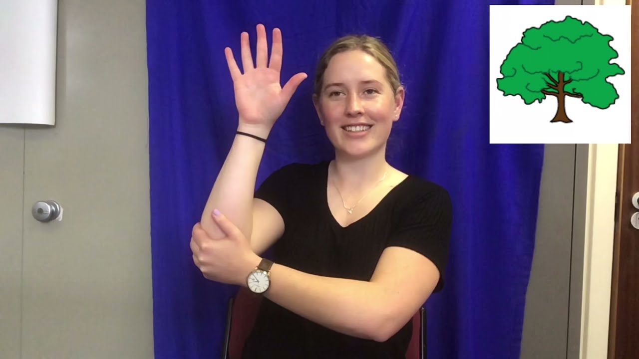 Makaton signs for the 'Countryside Bingo' game - YouTube