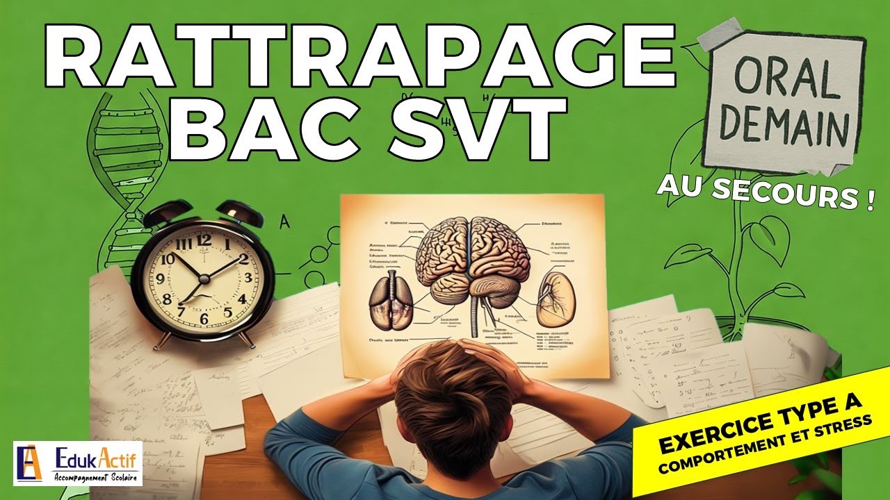 SECOND GROUPE(ORAL RATTRAPAGE)(Terminale SVT). Question de type A : Thème Corps humain et santé ...