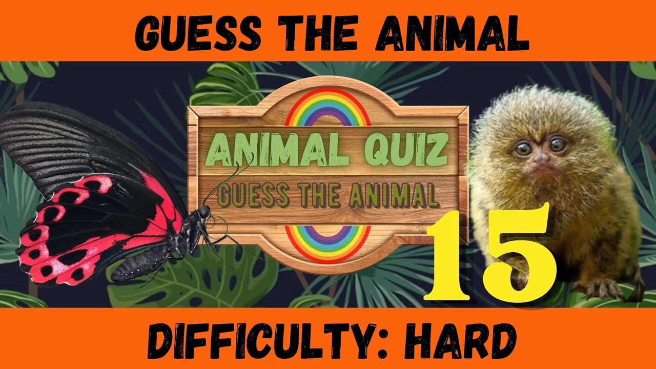 Can You Guess The Animal #15 | Animal Quiz | HARD - YouTube
