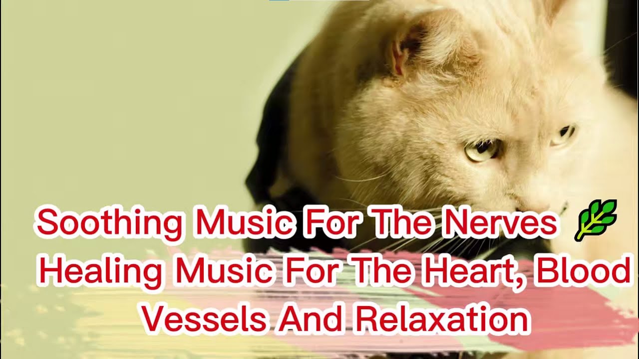 Soothing Music For The Nerves 🌿 Healing Music For The Heart, Blood ...