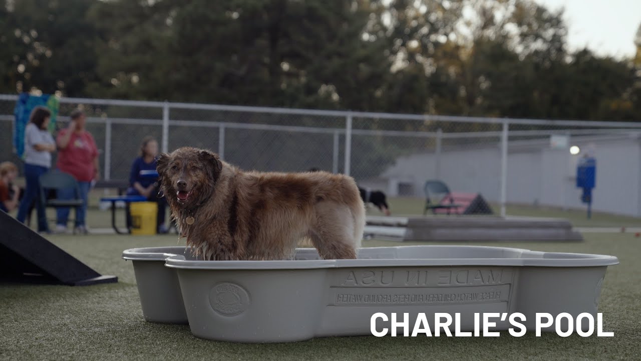 Charlie's Pool - YouTube