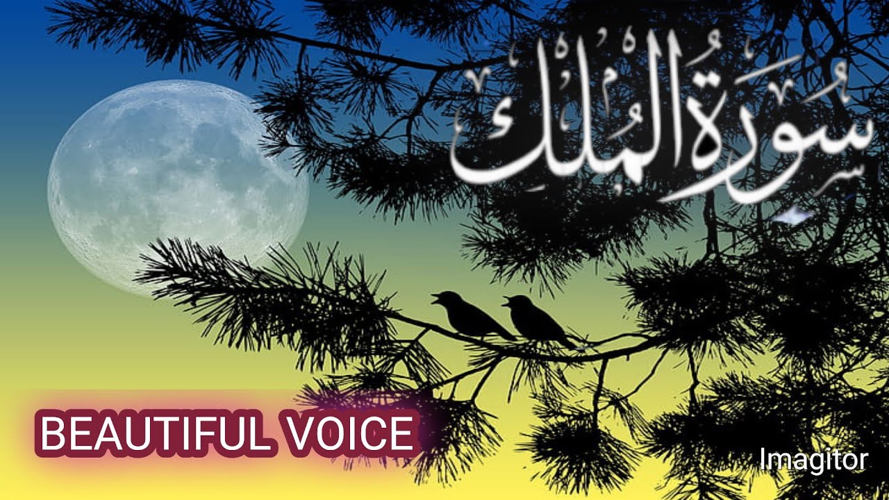 Surah Al Mulk💖(Ep45)beautiful Quran recitation /heart soothing voice # ...