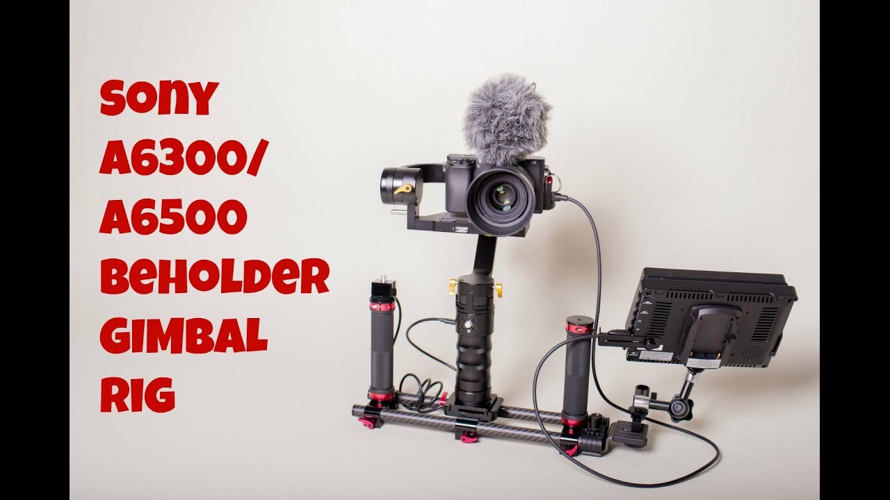 Sony A6300/A6500 Beholder DS1 Gimbal Rig - YouTube