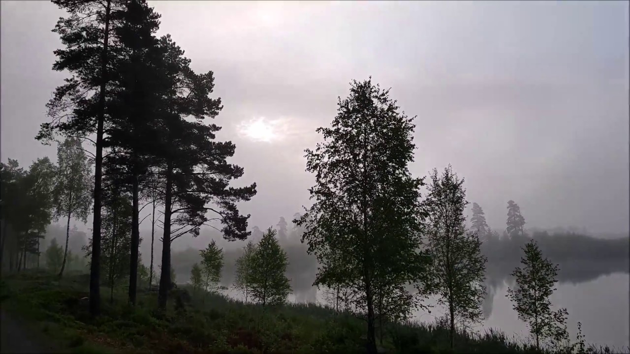 An early walk to watch the bird life at an artificial lake in Gislaved ...