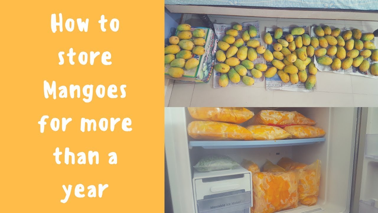How to store Mangoes for more than a year - एक साल से अधिक के लिए आम ...