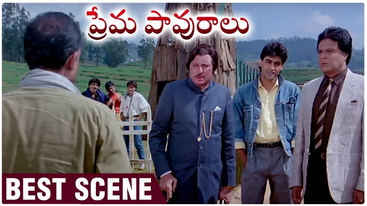 Prema Pavuralu Movie Best Scene | Maine Pyar Kiya | Salman Khan ...