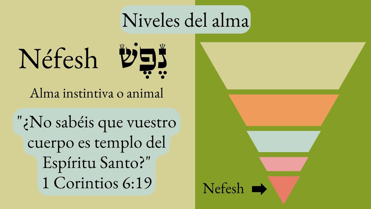 Néfesh, el alma instintiva | Niveles del alma | Kabbalah para todos ...