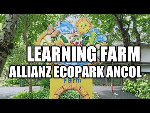 Learning Farm Allianz Ecopark Ancol - YouTube