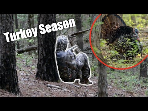 Chasing Bama Birds!! (Our 1st Turkey Season) - YouTube