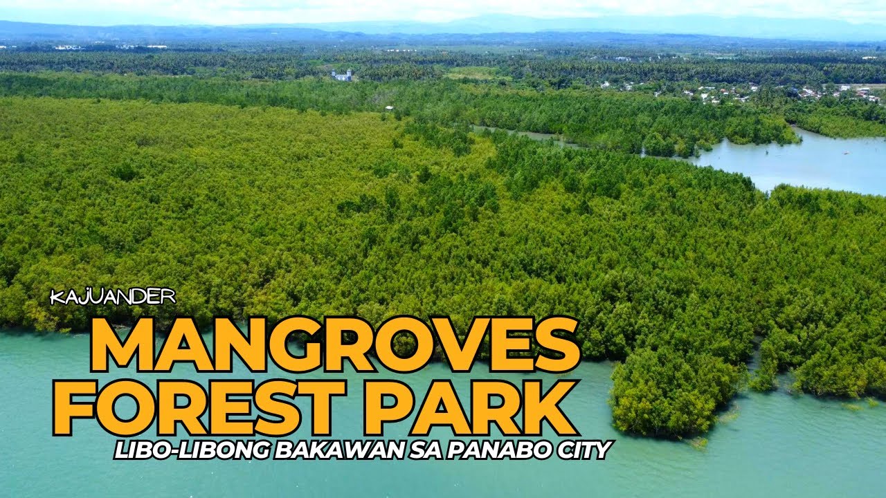 LIBO-LIBONG BAKAWAN SA MANGROVE FOREST PARK NG PANABO CITY - YouTube