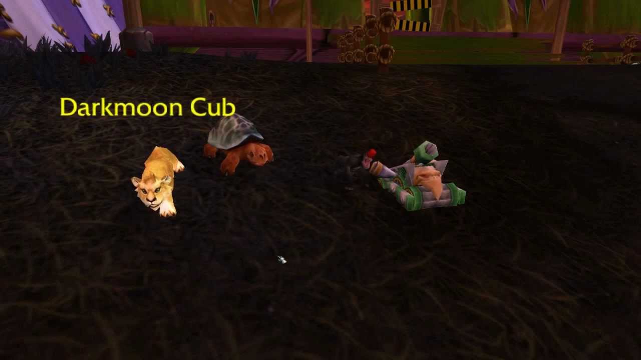 Darkmoon Faire 4.3 Pets and Mounts - YouTube